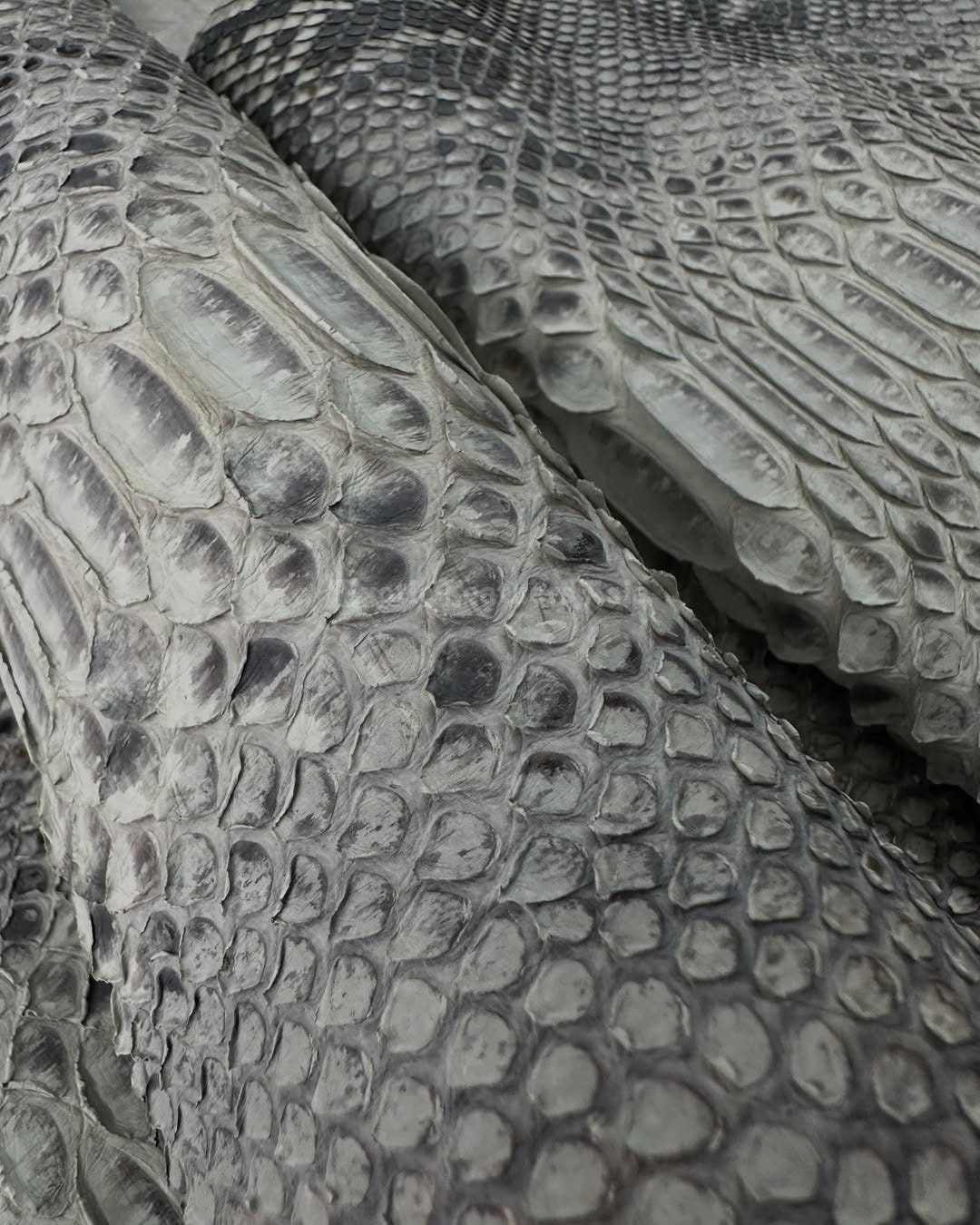 Genuine Reticulated Python Leather Skin | Natural Ash Grey Unbleached ...