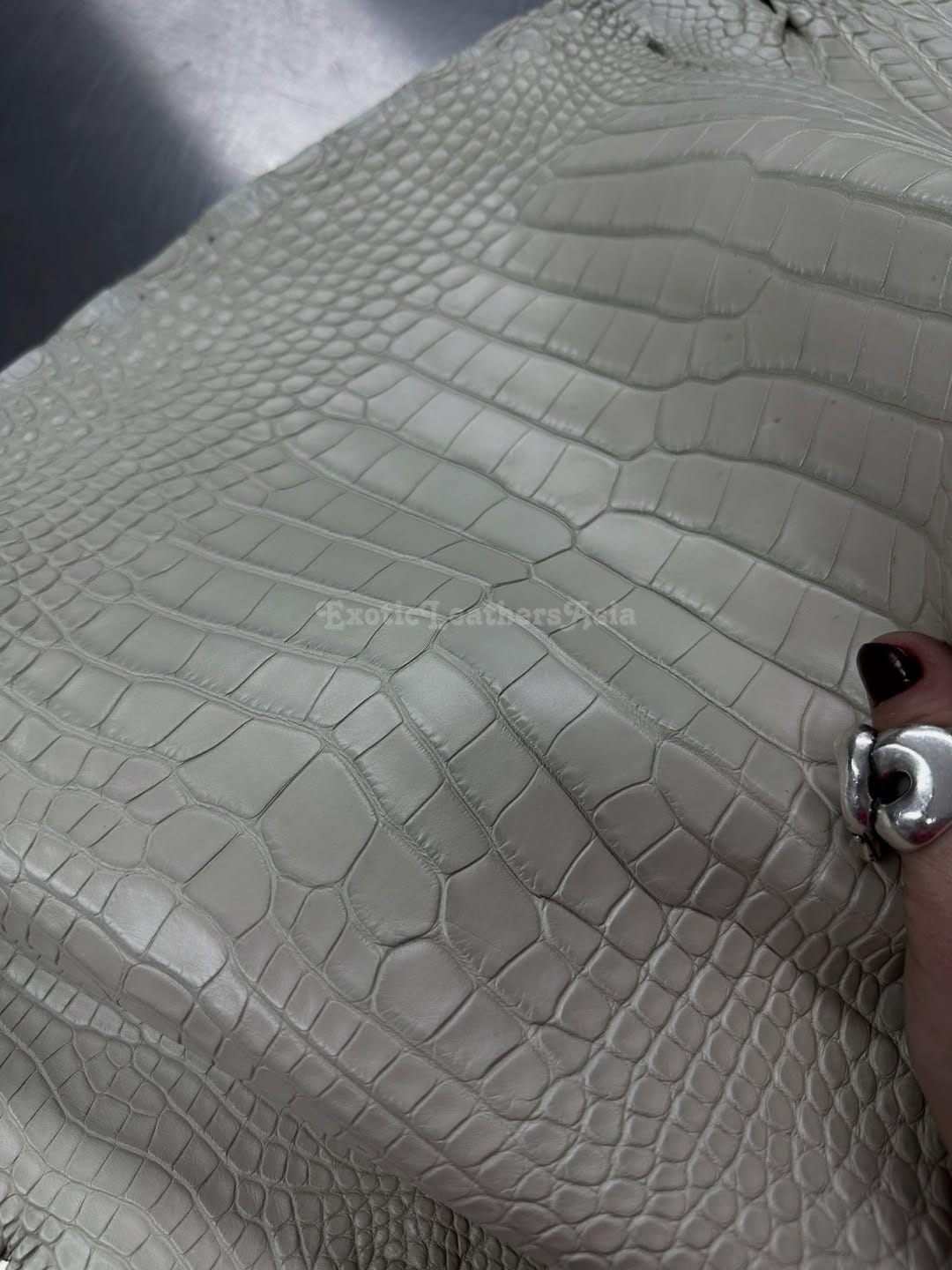 Light Ash Grey Full Alligator Belly Hide | Bleached Tanned Leather for ...