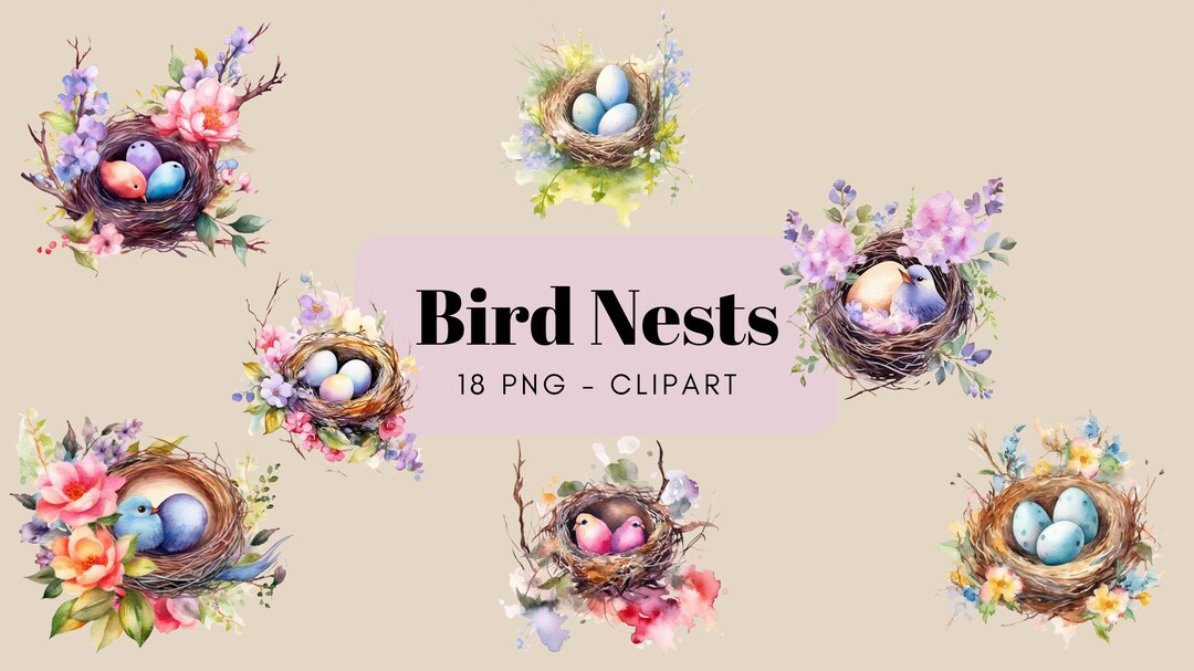 Watercolor Bird Nests Clipart, Spring, Nature, Flowers - Etsy