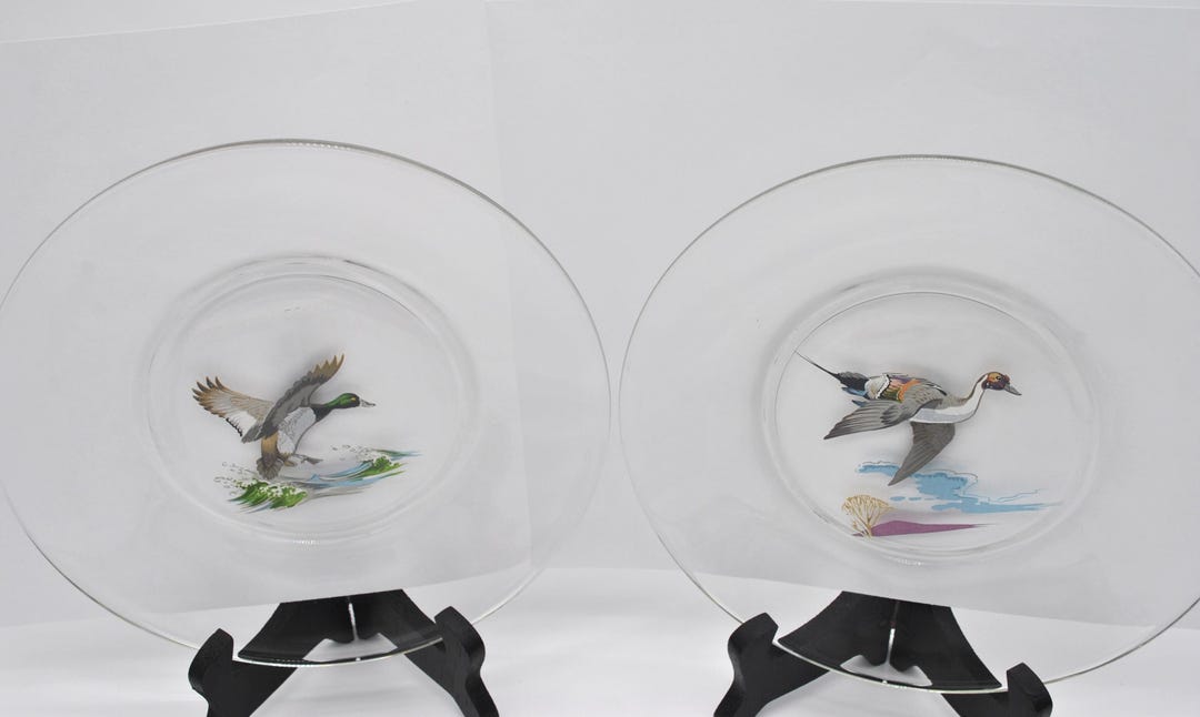 Ned Smith 7 - 8-inch Salad Plates Waterfowl Ducks West Virginia Glass ...