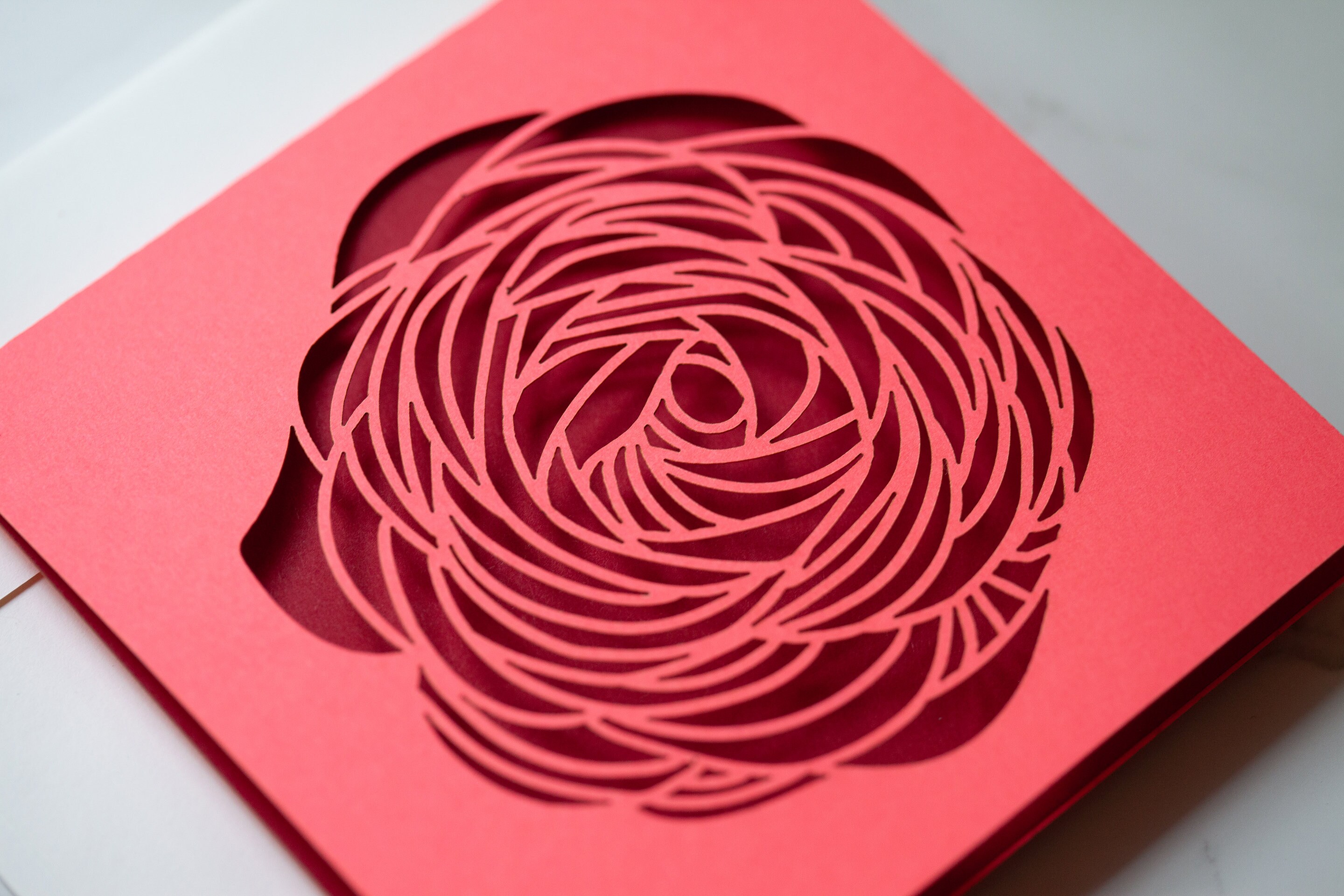 Rose Flower Laser Cut Greeting Card Fuscia & Red Color Give a Paper ...