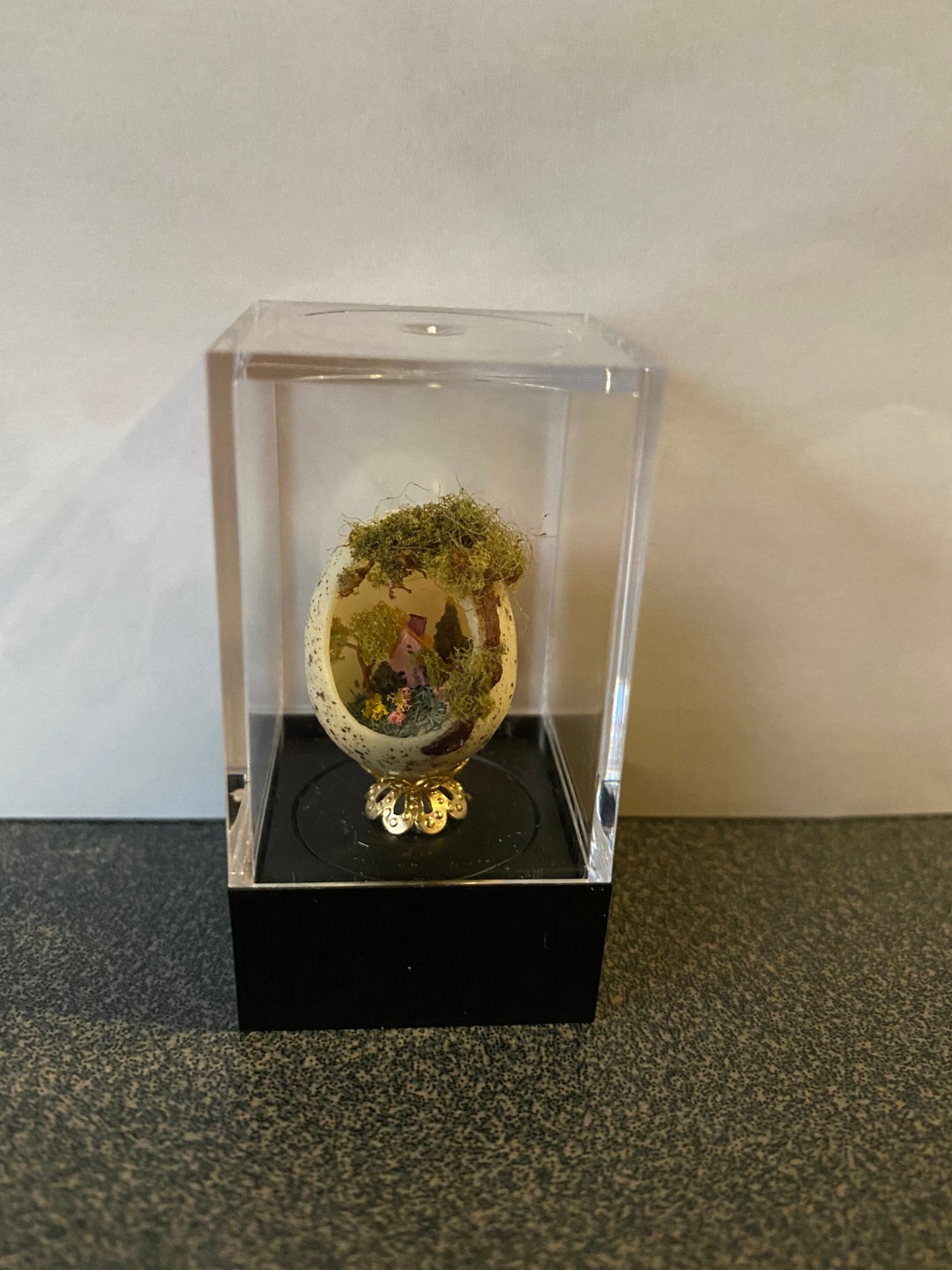 Unique Miniature Egg Display Scene-fauna Outdoor Scene - Etsy