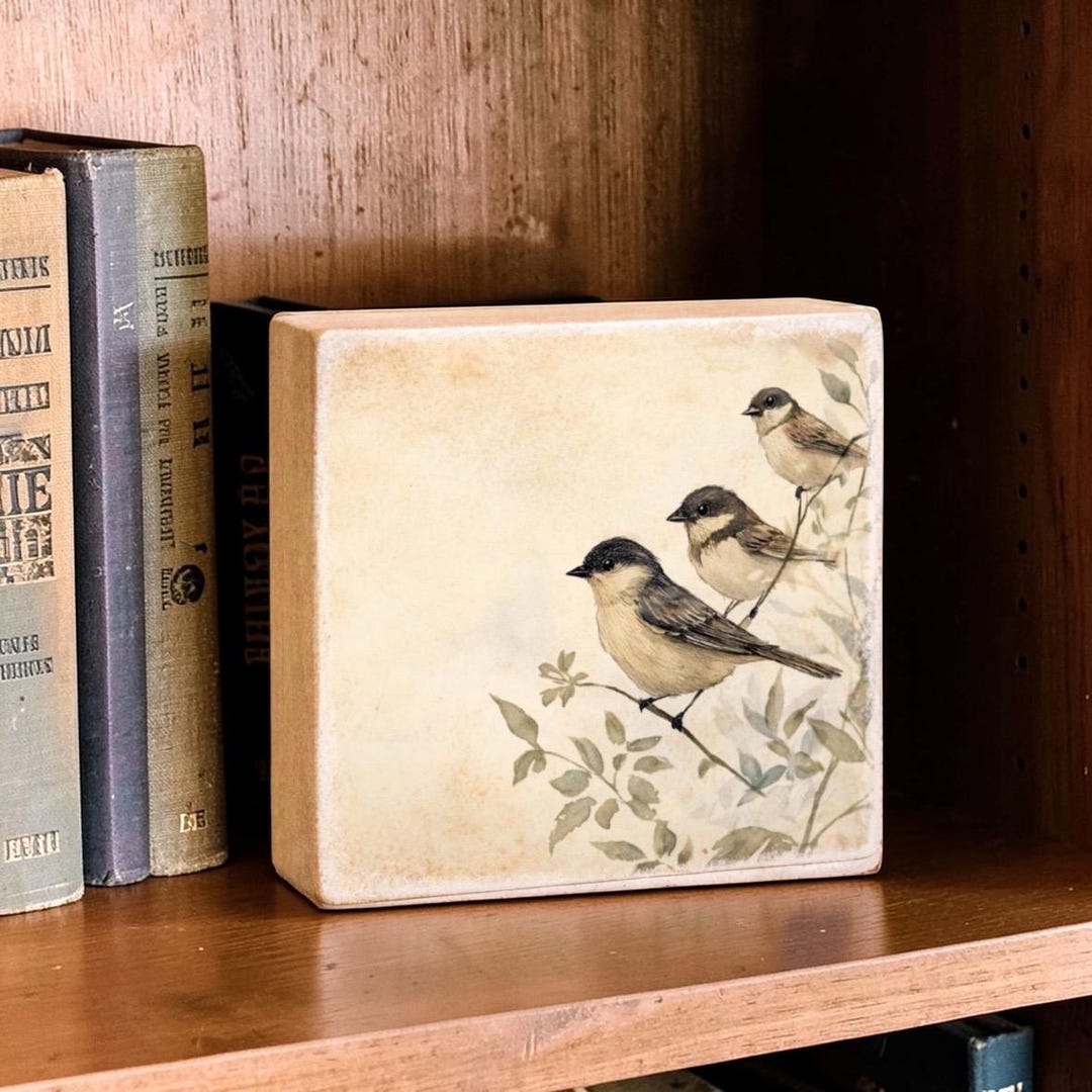 Songbird Trio Wood Block Sign | Rustic Farmhouse Nature Shelf Decor - Etsy