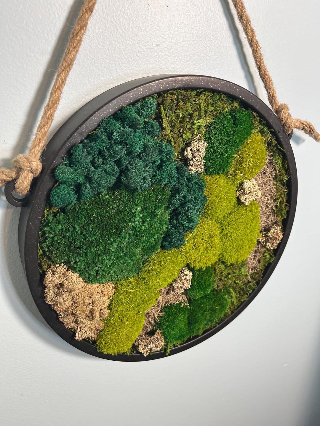 Handcrafted Preserved Moss Wall Art - Etsy