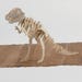 Laser Cut T-rex 3D Puzzle - SVG Files (digital Download) - Etsy