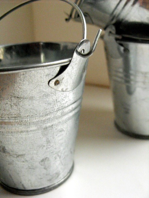 Galvanized Bucket 5 Inch Silver Metal Bucket Stainless - Etsy