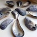 Mussel Shells, Maine Seashells, Shells for Wreaths, Jewelry, Garland ...