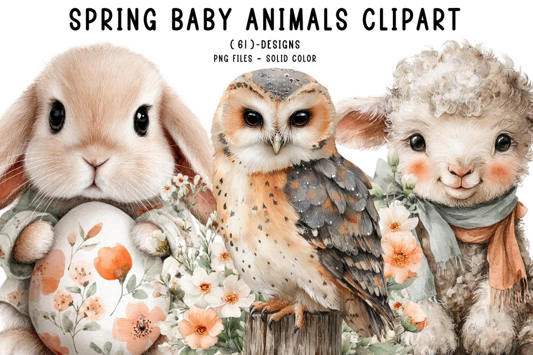 61 Baby Animal Clipart PNG Bundle, Spring Baby Animals Watercolor ...