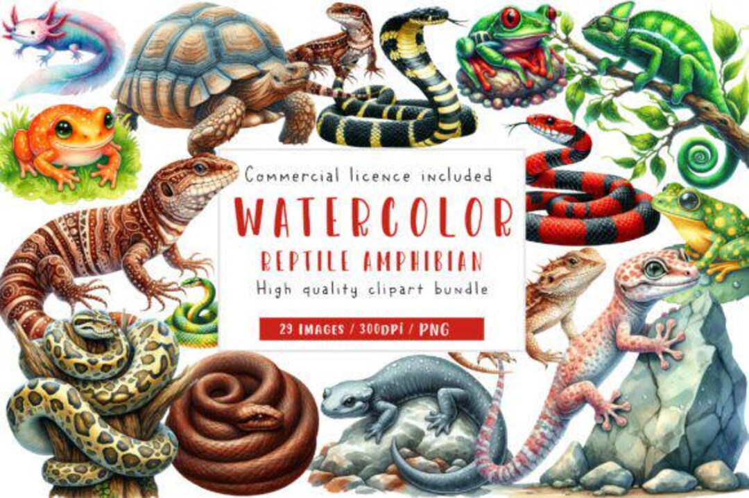 29 Watercolor Reptile Clipart PNG / Amphibian Animals / Snakes Lizards ...