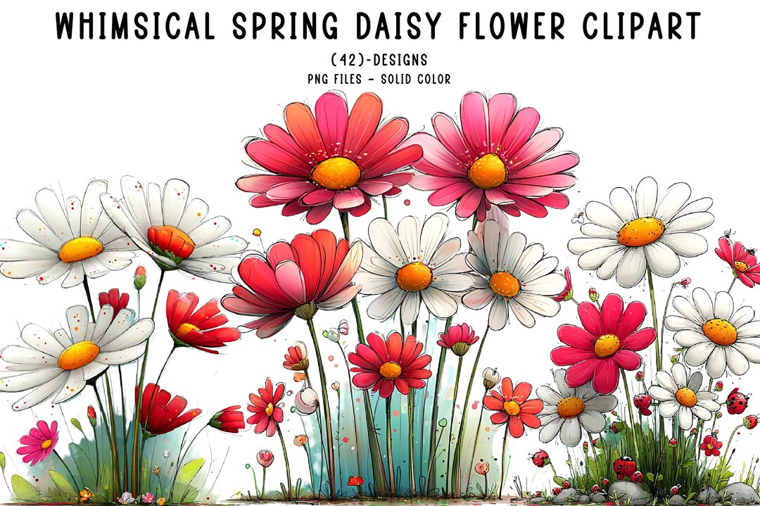 42 Daisy Flower Clipart Whimsical Spring Floral PNG Watercolor Daisy ...