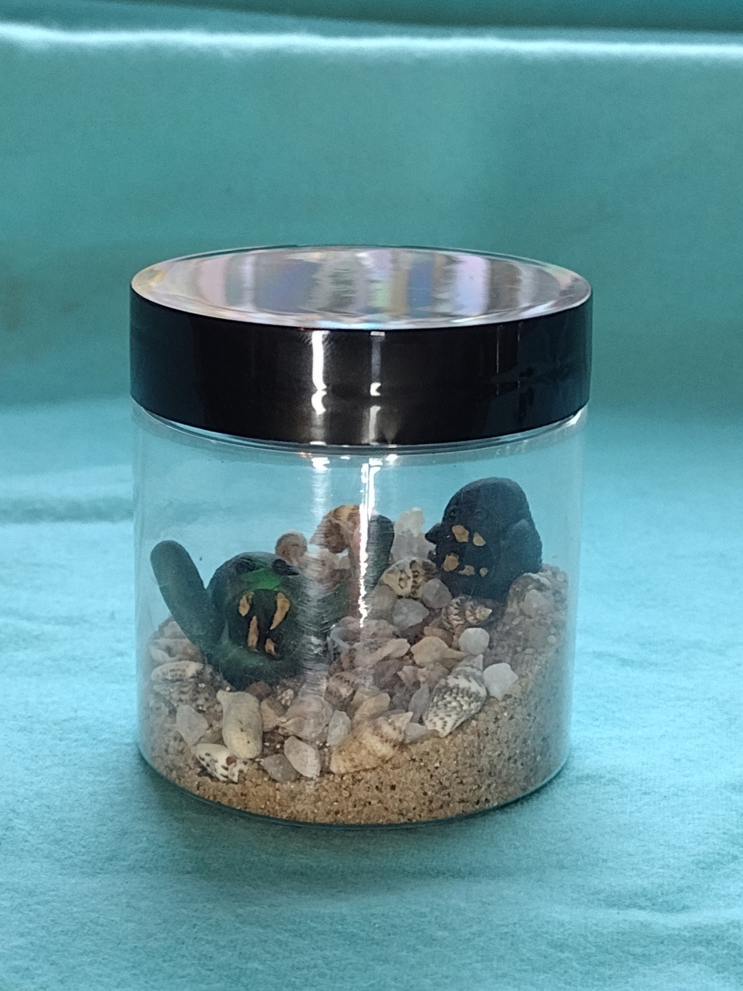 Mystery Cursed Pet Rock Enclosure Kit - Etsy