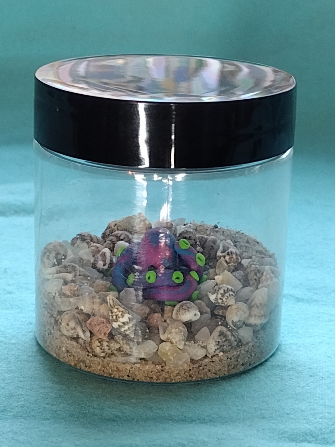 Mystery Pet Octopus Enclosure Kit - Etsy