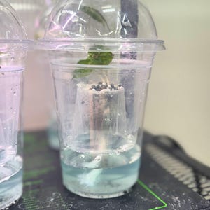 TC Bomber Dome Bundle (vented) Self Watering, Designed for Tissue ...