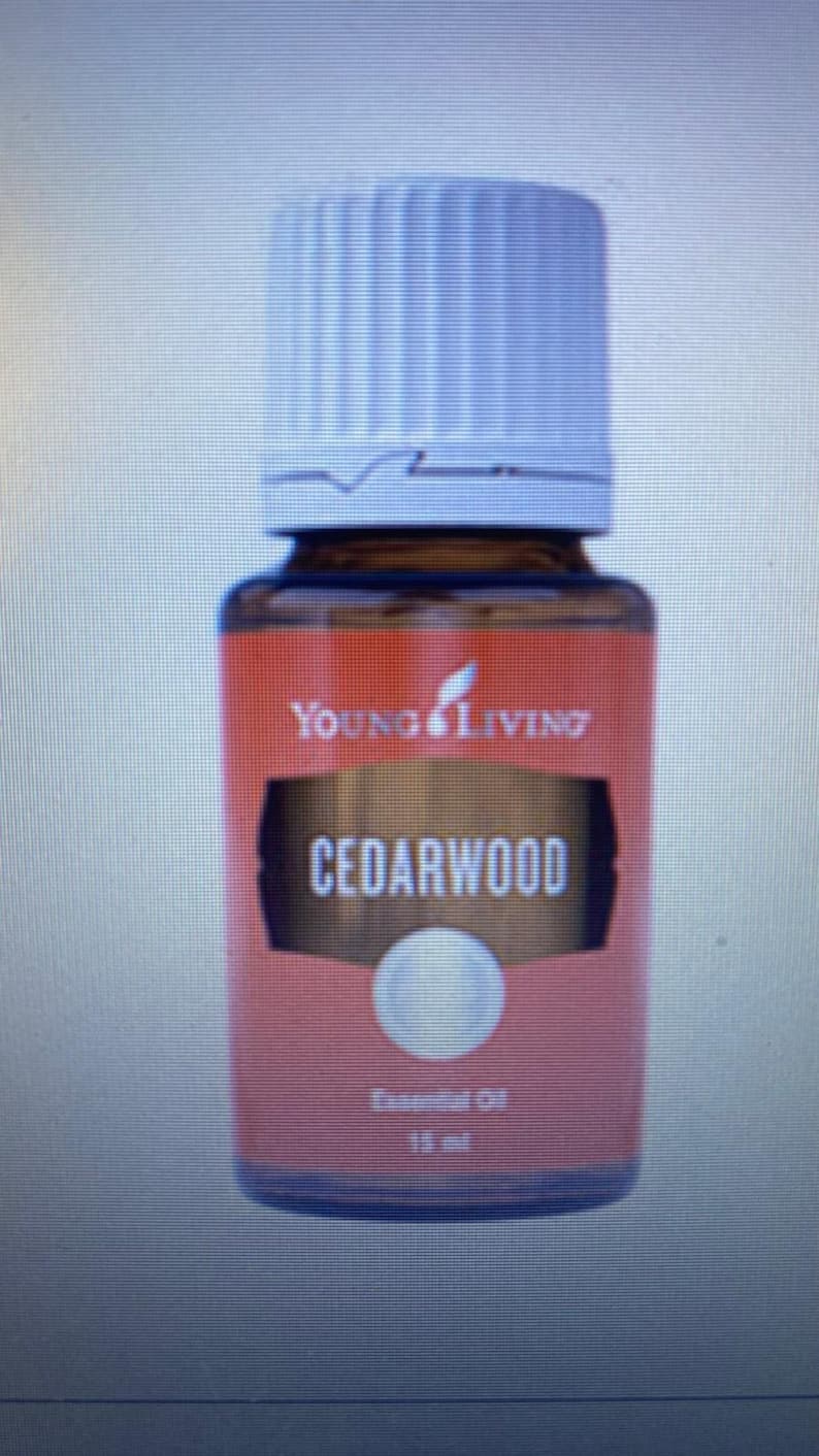 Young Living Cedarwood Essential Oil 15ml - Etsy