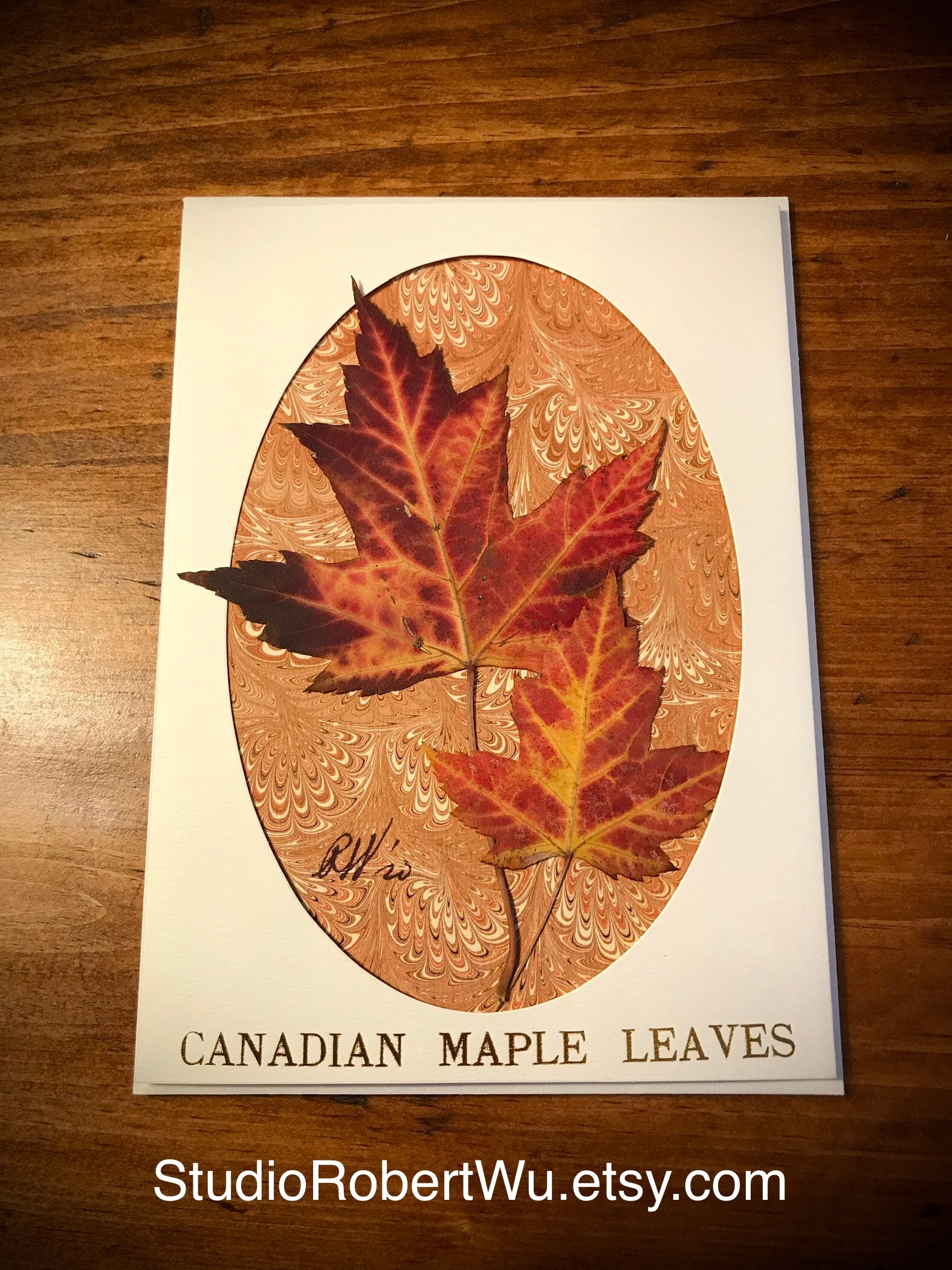 Genuine Canadian Maple Leaves Greeting Card | Etsy