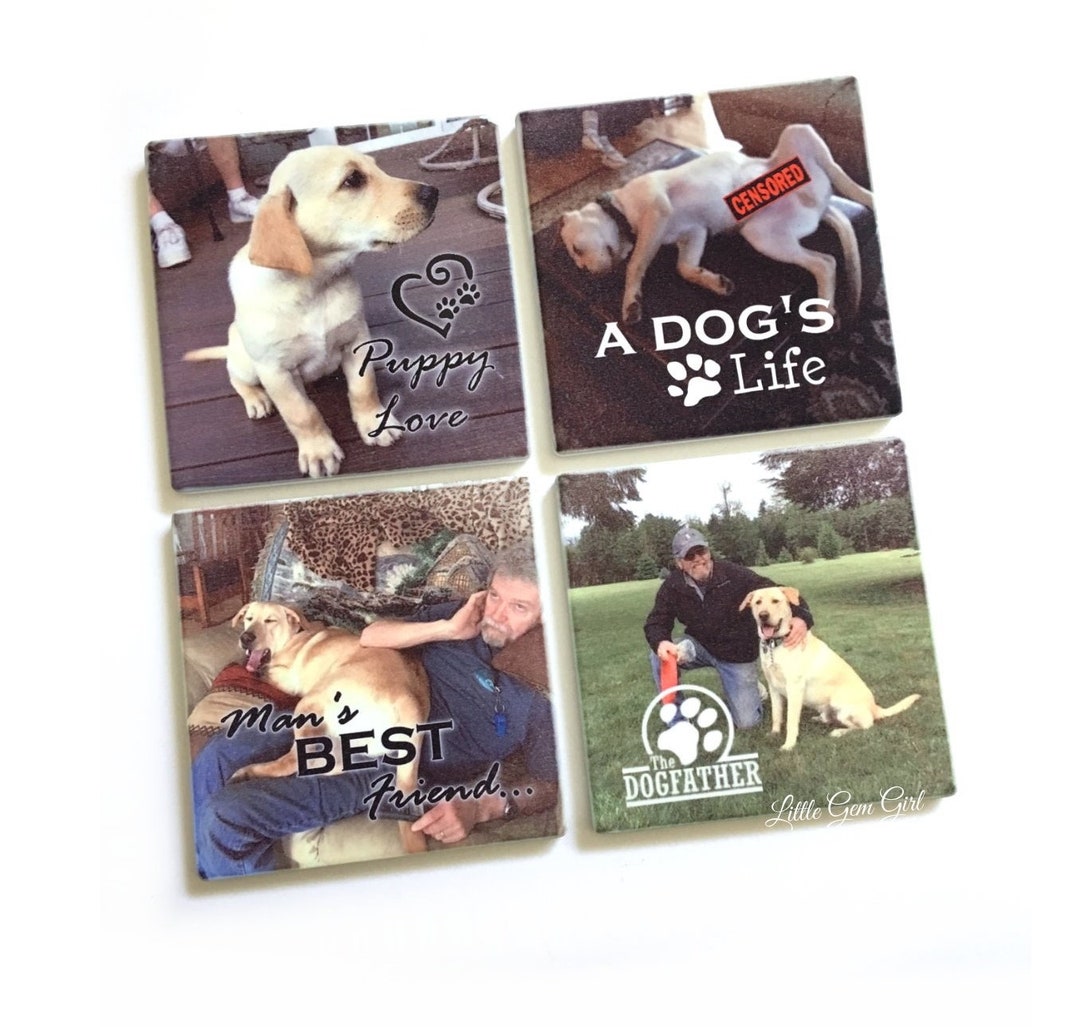 Personalized Dog Photo Coasters: Custom Sandstone Pet Picture Coasters ...