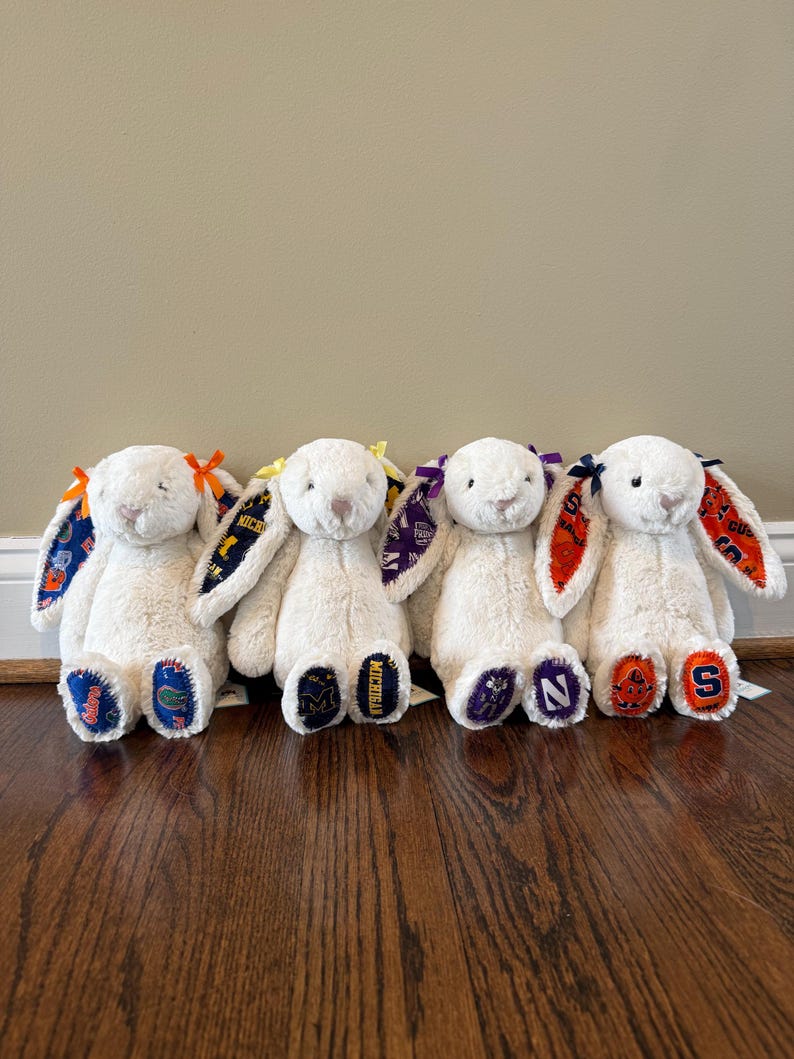 Custom College Jellycat Bunny: Graduation, College Acceptance Gift for ...