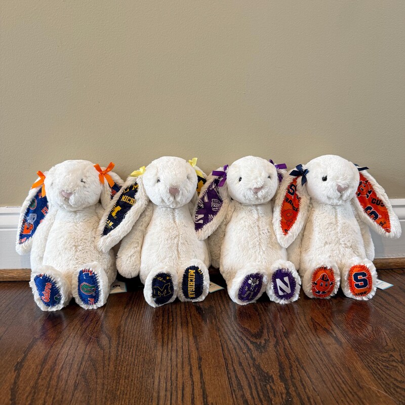 Custom College Jellycat - Etsy