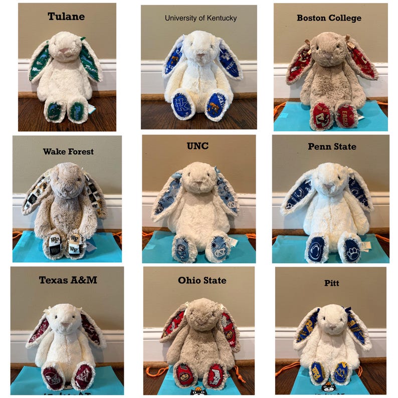 Custom College Jellycat Bunny: Graduation, College Acceptance Gift for ...