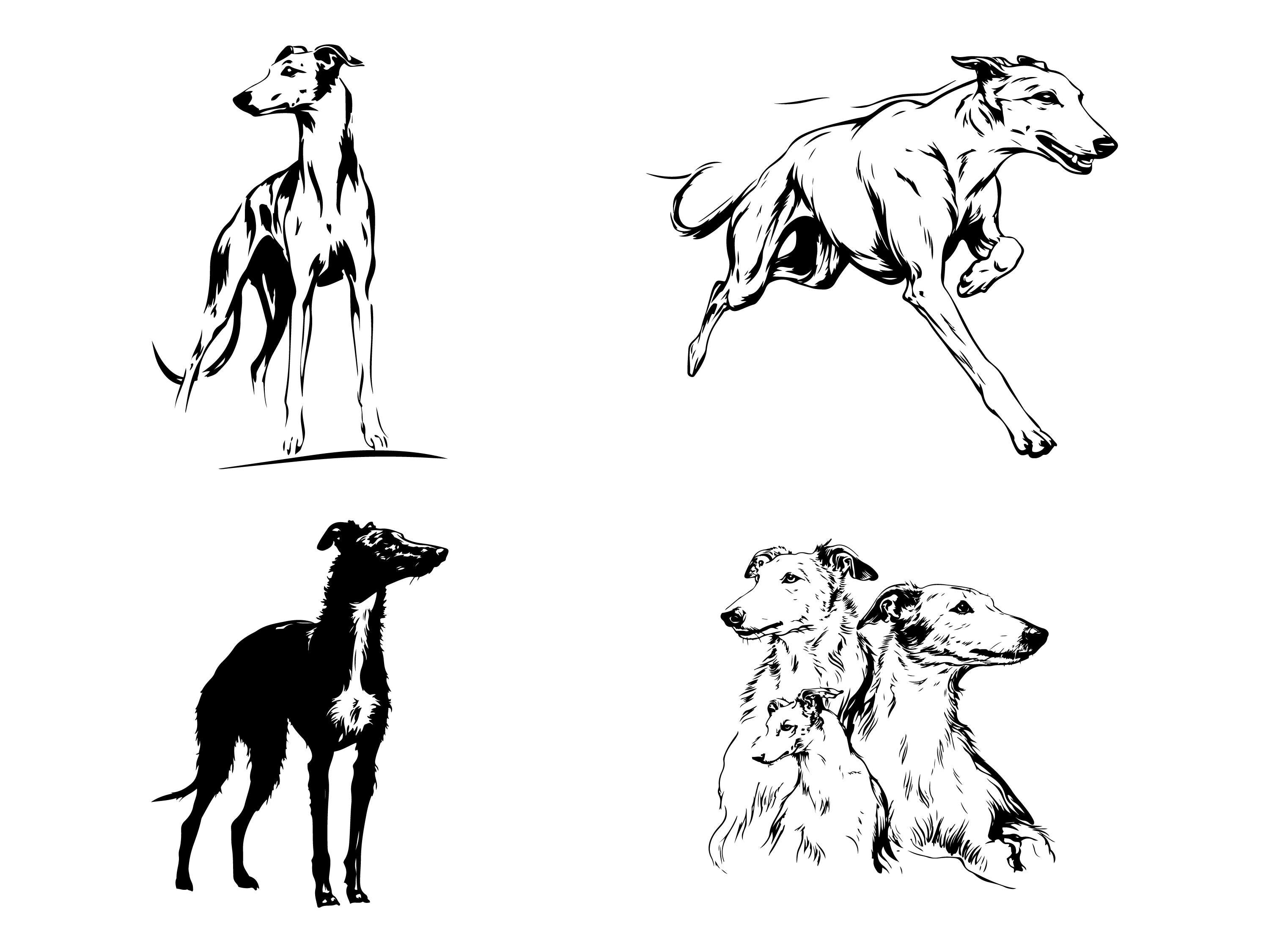 Lurcher Dog SVG PNG, Lurcher Clipart for Cricut, Pet Lover Wall Art ...