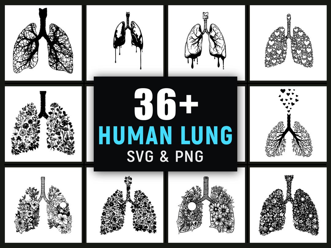 Human Lung SVG PNG, Anatomical Medical Illustration Clipart for Science ...