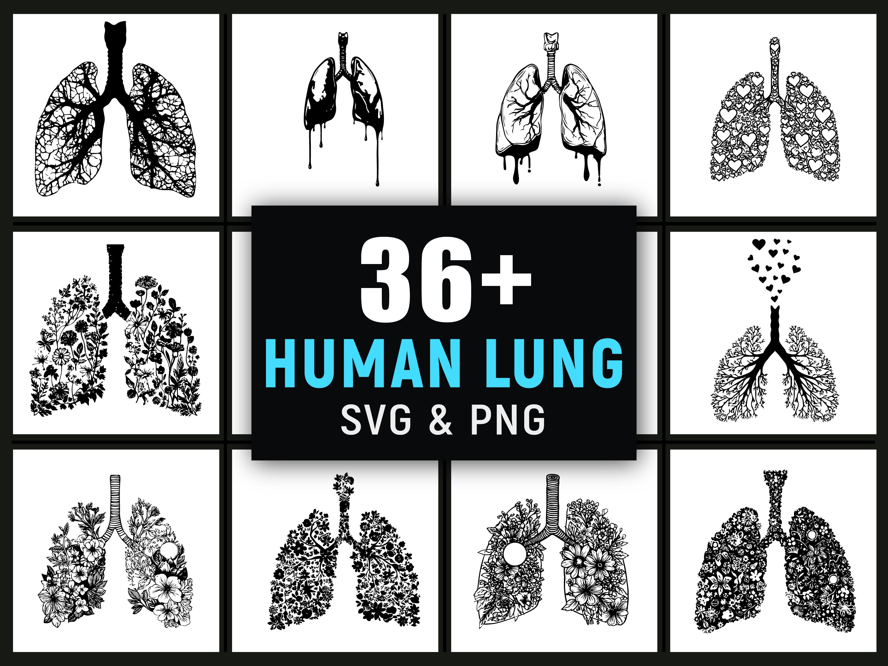 Human Lung SVG PNG, Anatomical Medical Illustration Clipart for Science ...