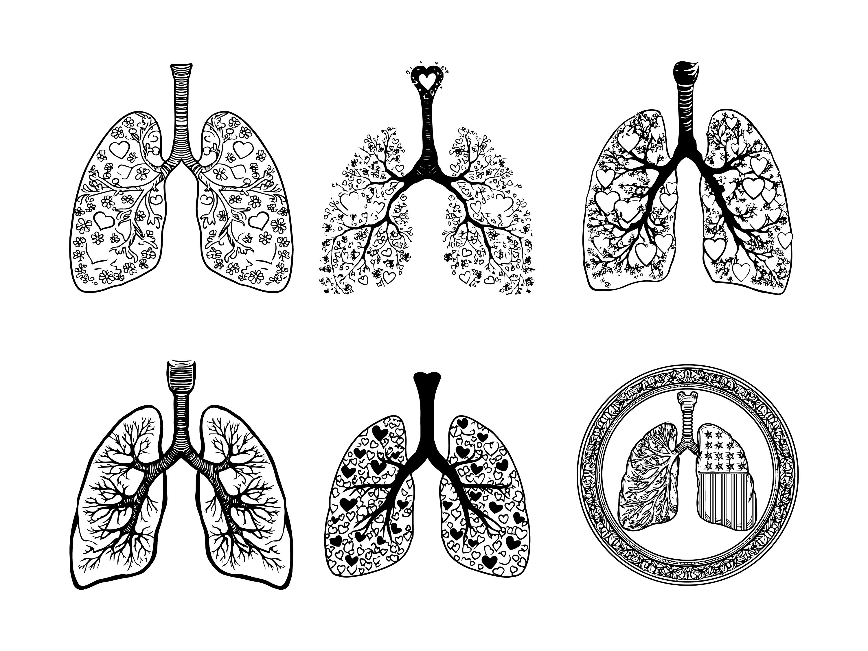 Human Lung SVG PNG, Anatomical Medical Illustration Clipart for Science ...