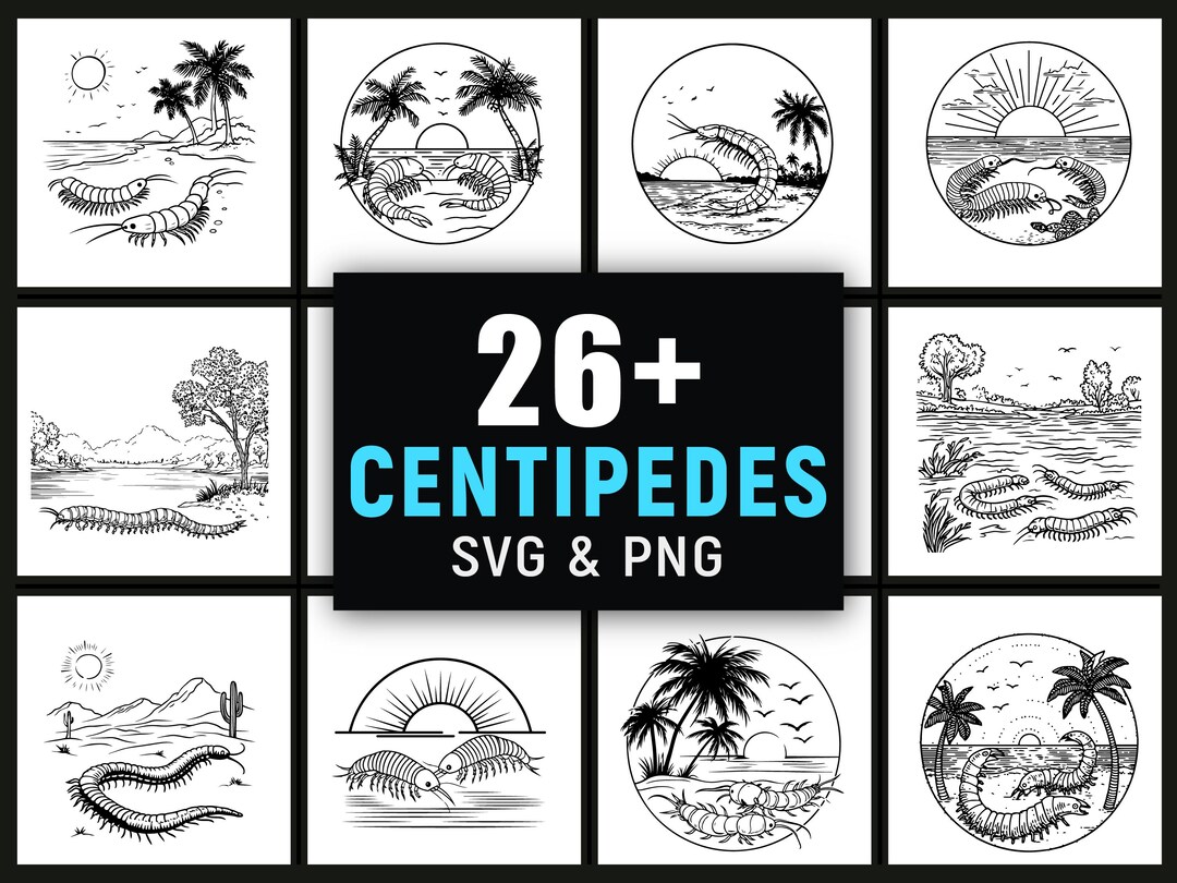 Centipede SVG PNG Bundle, Insect Silhouette Clipart, Bug Vector - Etsy