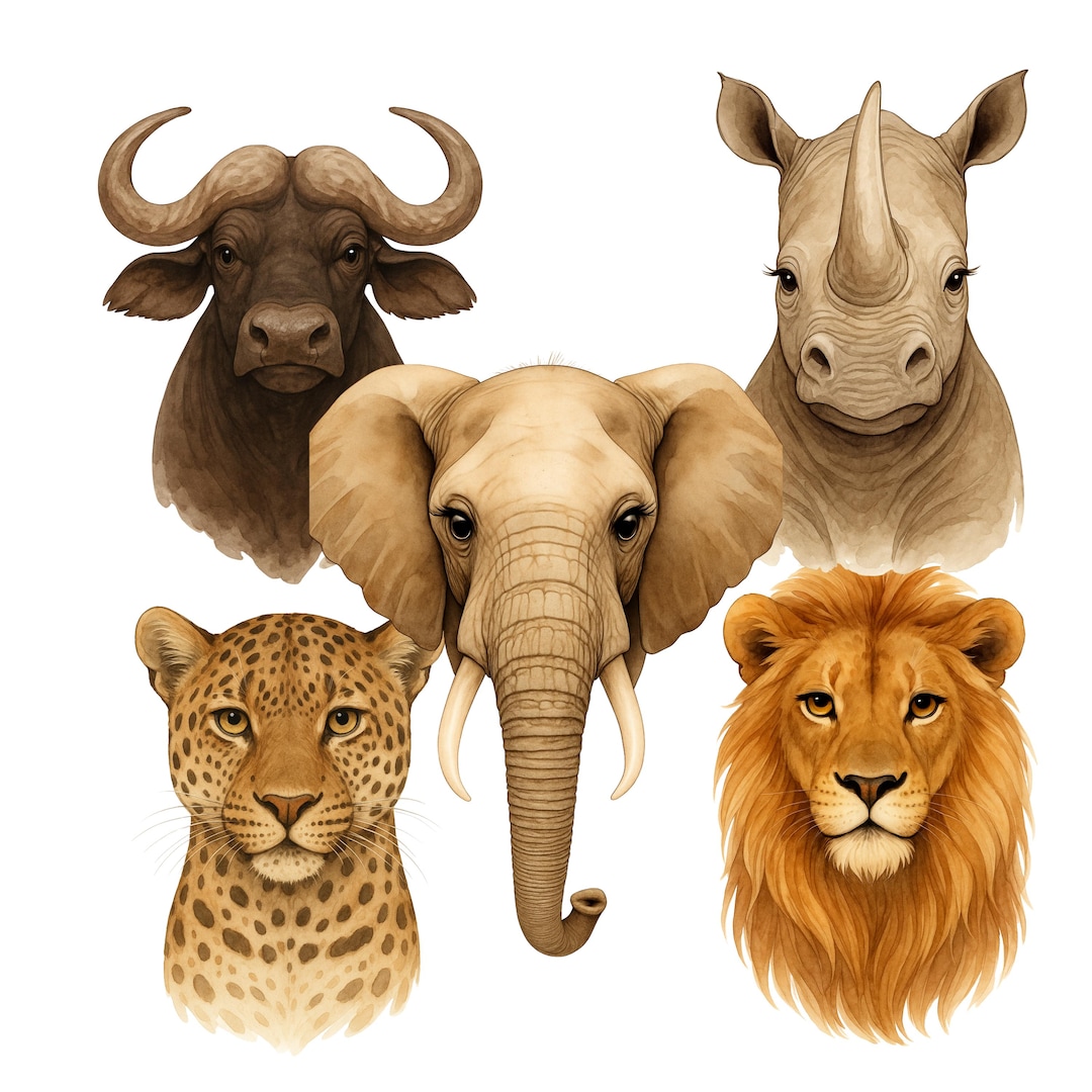 Big Five Poster Set – 1:1 Safari Animal Watercolors, Lion, Elephant ...