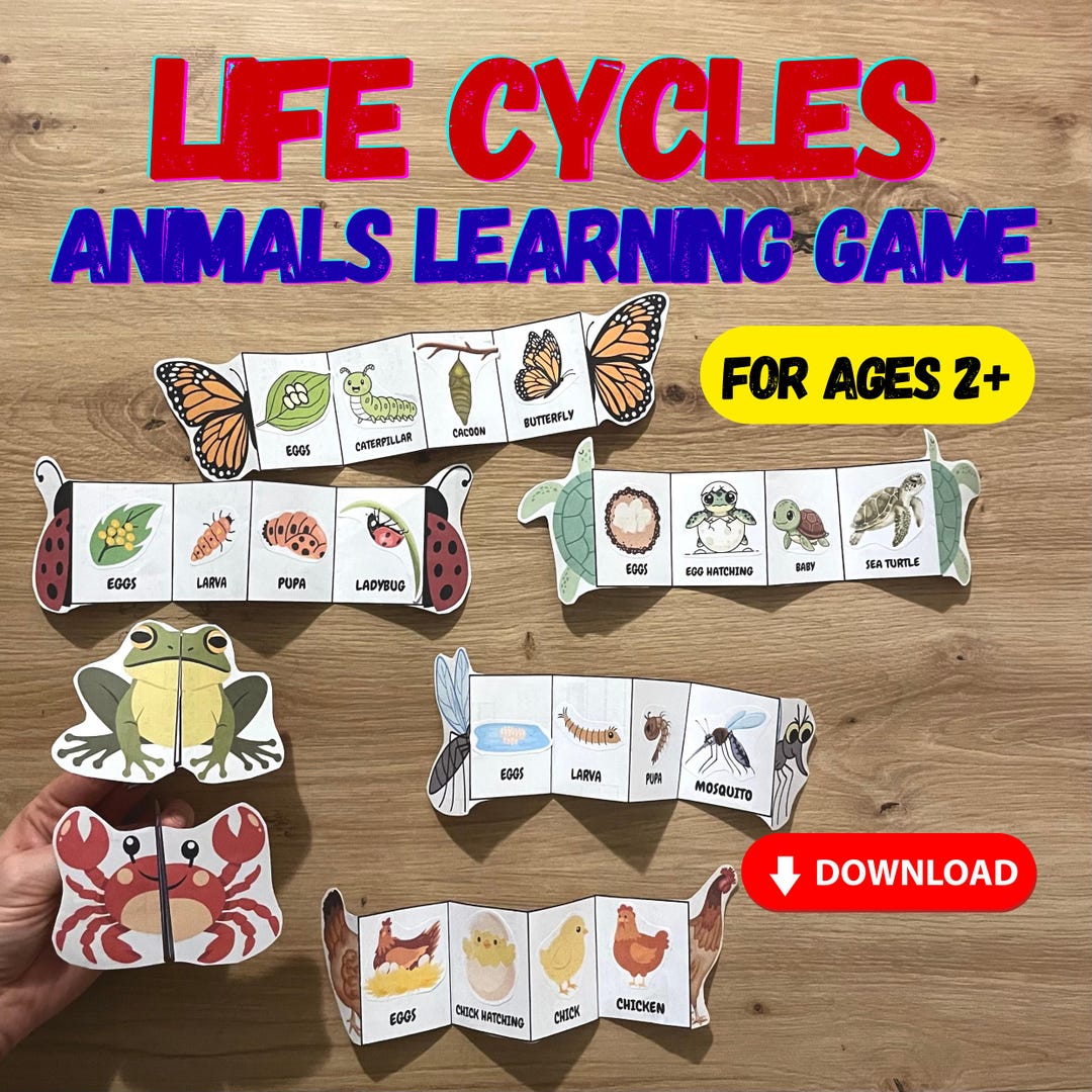 Animal Life Cycles Printable Learning Game | Butterfly, Frog, Chicken ...