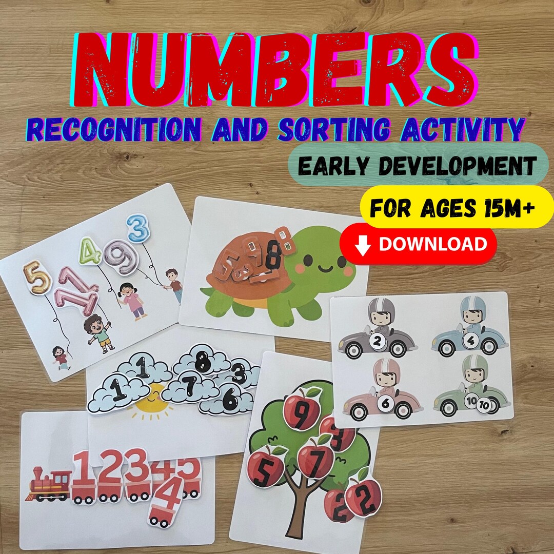 Montessori Number Recognition Activity | Toddler Number Sorting Game ...