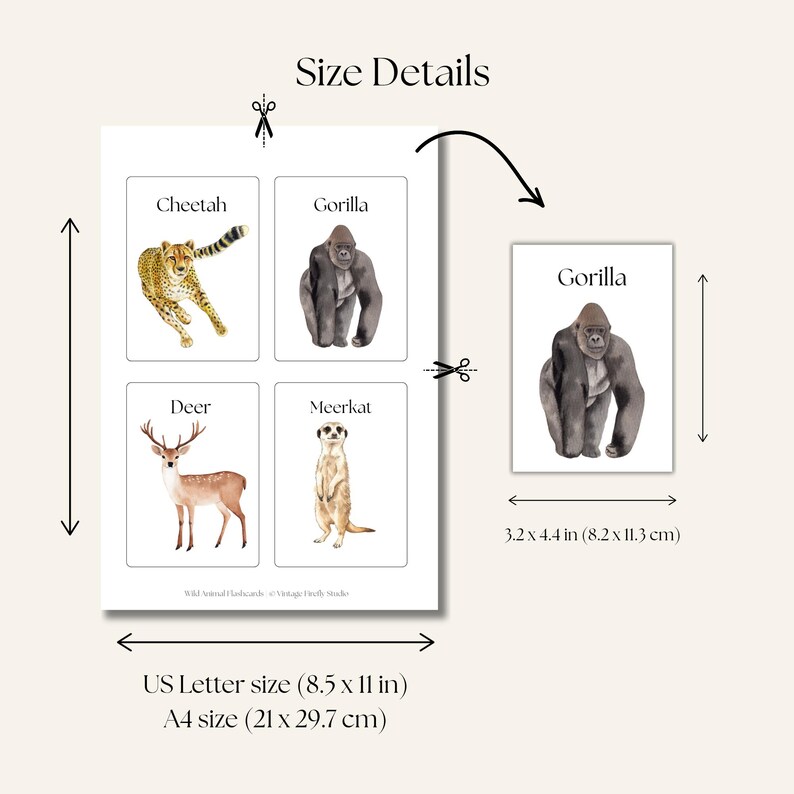 Animal Flashcards Bundle | Farm, Wild & Ocean | Homeschool Printable ...