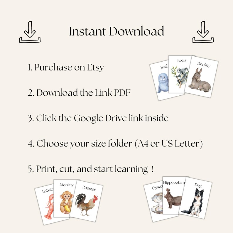 Animal Flashcards Bundle | Farm, Wild & Ocean | Homeschool Printable ...