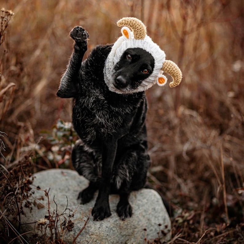 Ram Goat Dog Snood | Knit Crochet Dog Hat | Halloween Dog Costume | Ear ...