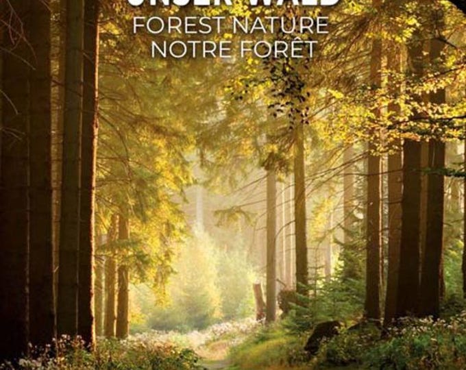 Forest Nature 2026 Wall Calendar. Poster Included. Tushita Paperart - Etsy