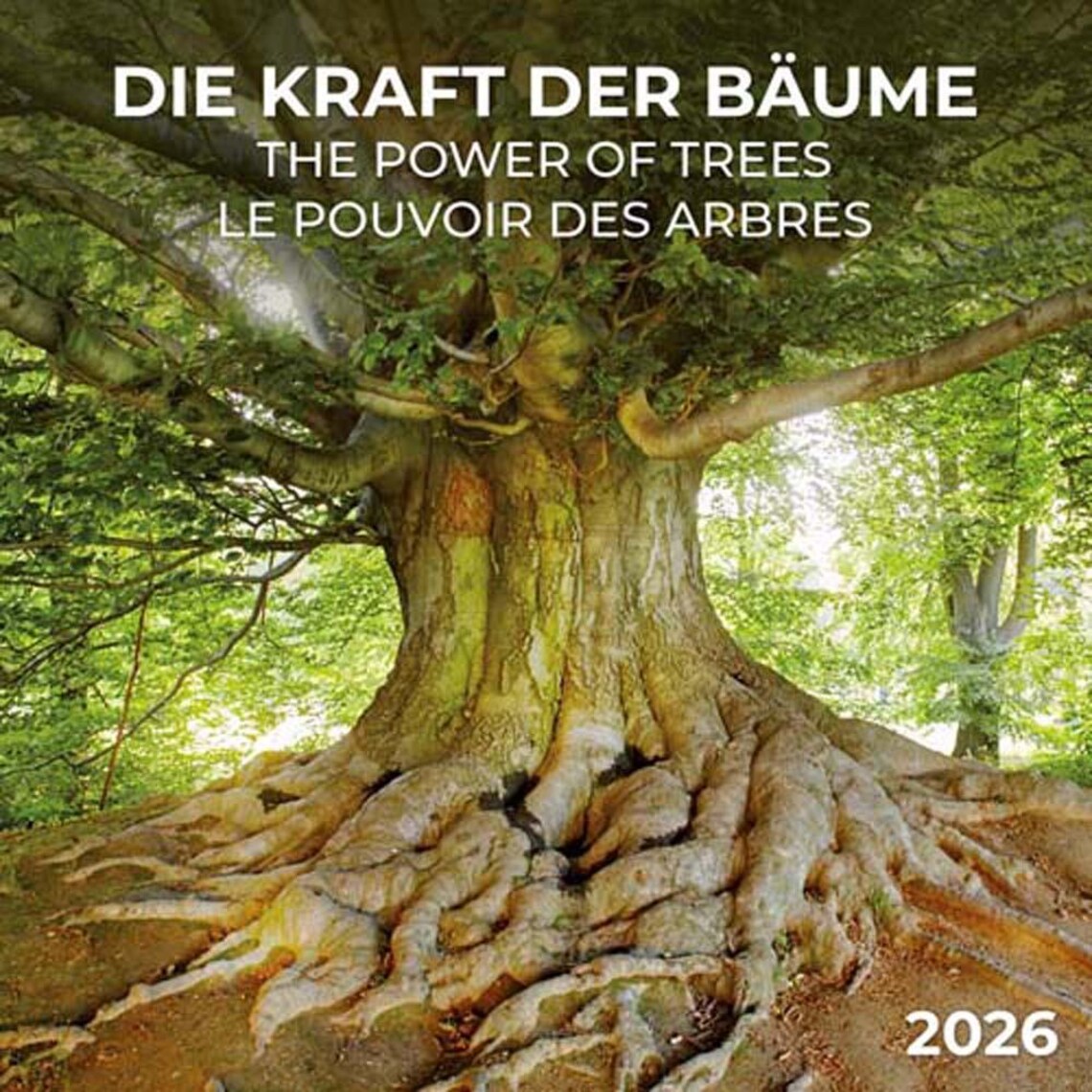 Power of Trees 2026 Wall Calendar. Poster Included. Tushita Paperart - Etsy