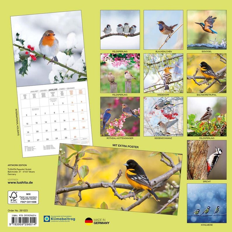 Birds 2026 Wall Calendar. Poster Included. Tushita Paperart - Etsy