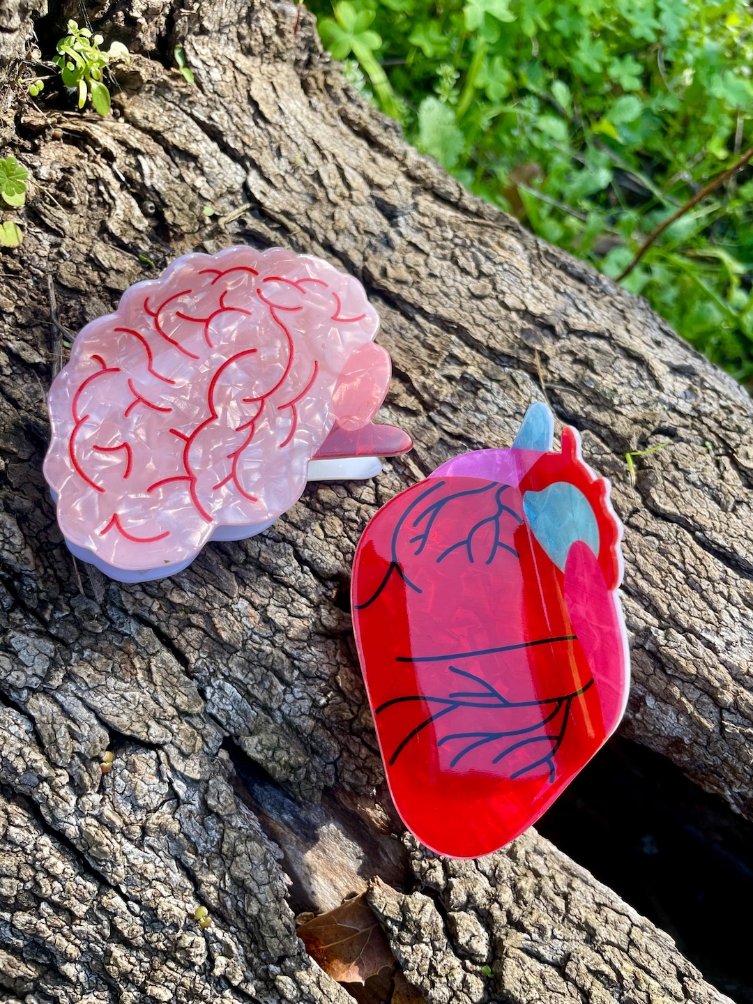 Anatomy Hair Claw Clips | Human Brain & Anatomical Heart Design - Etsy