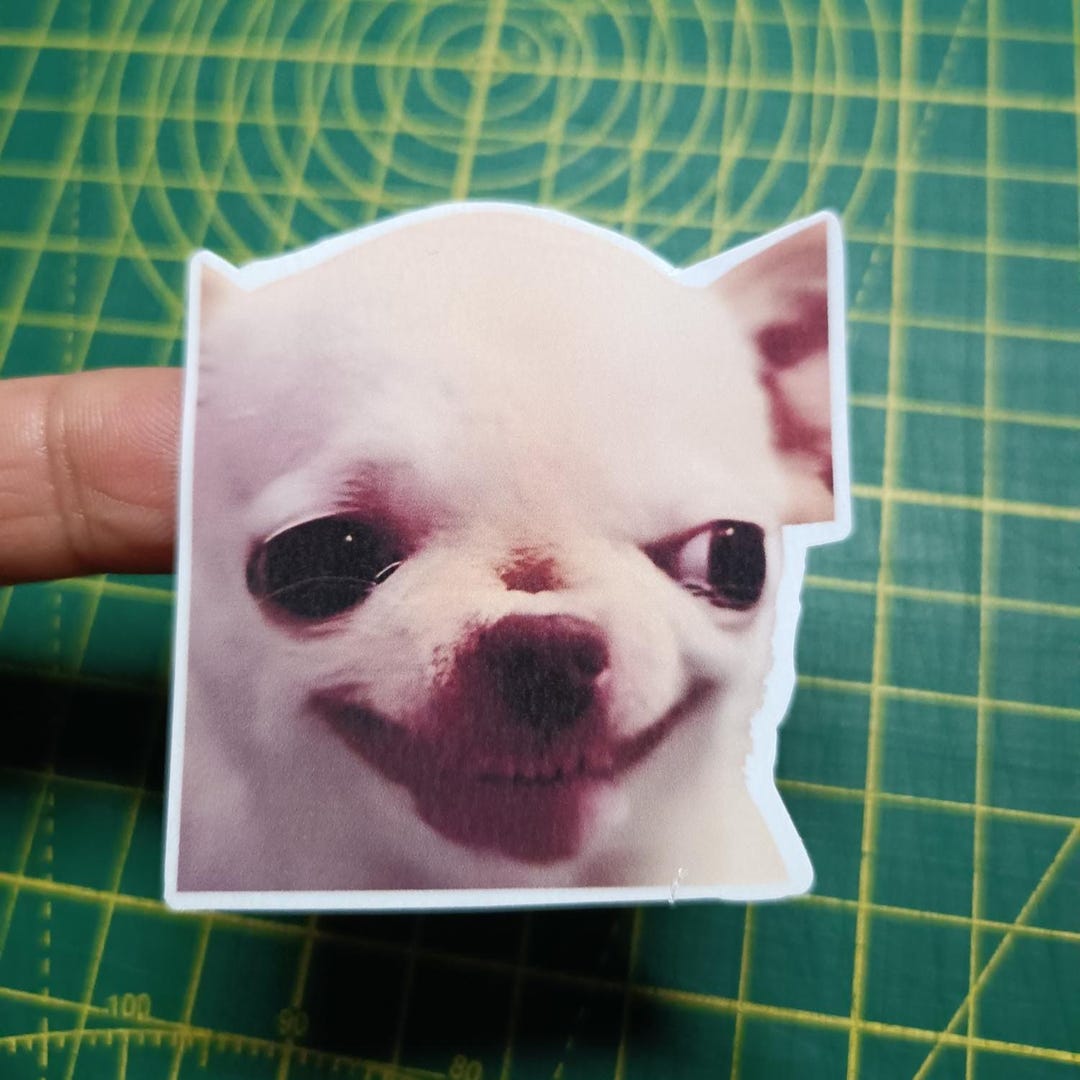 Smiling Chihuahua Dog Meme Sticker | Waterproof Vinyl Sticker for ...