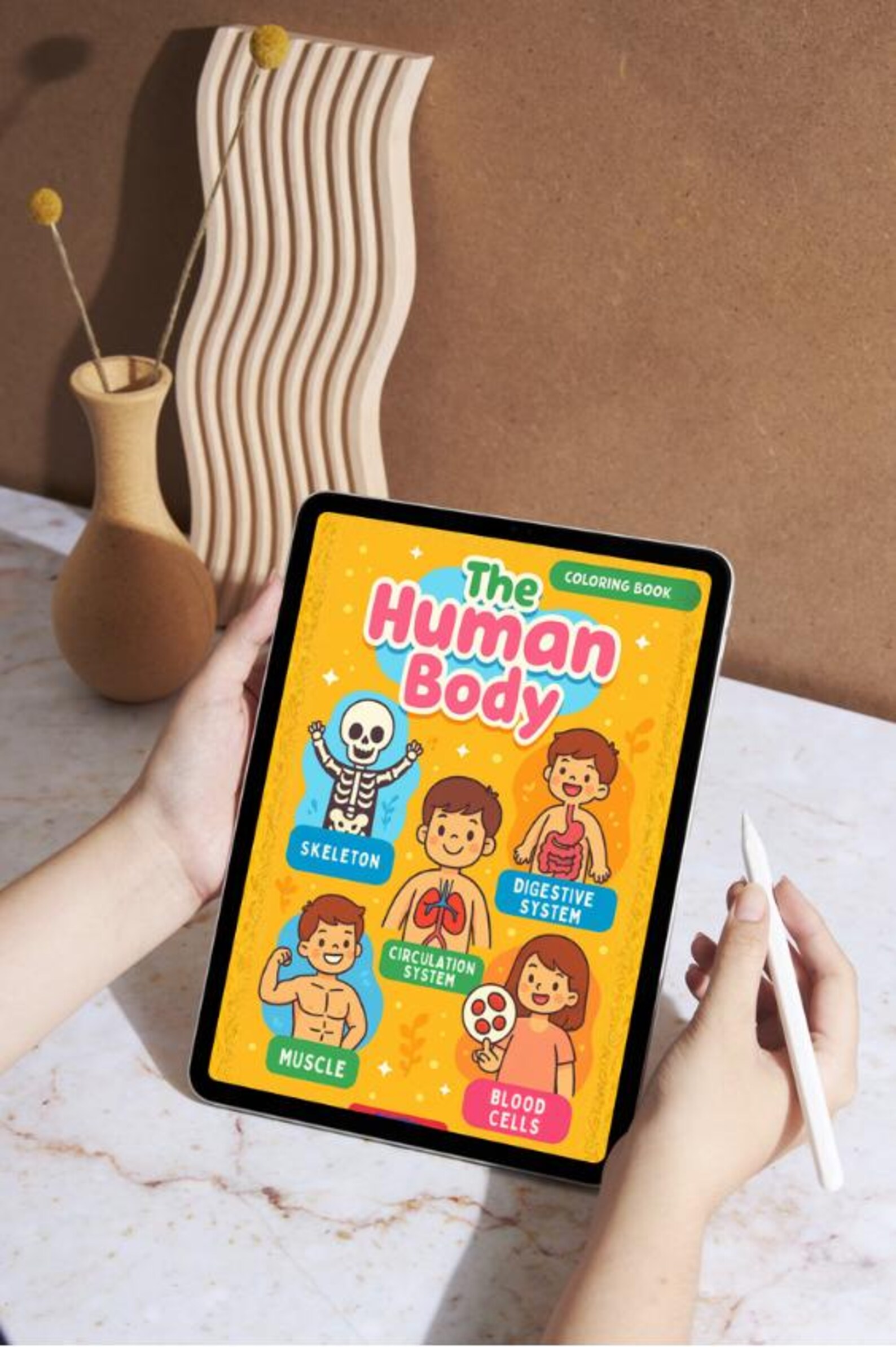 The Human Body - Science Coloring Book | Anatomy for Kids | STEM ...