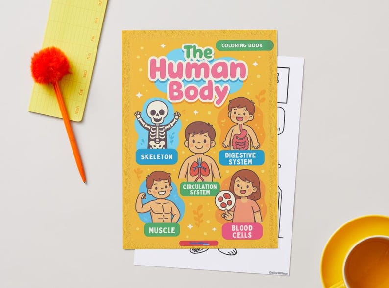 The Human Body - Science Coloring Book | Anatomy for Kids | STEM ...