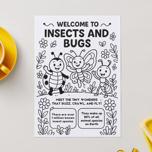 Insects and Bugs Coloring Book – Entomology Activities (PDF) | STEM ...