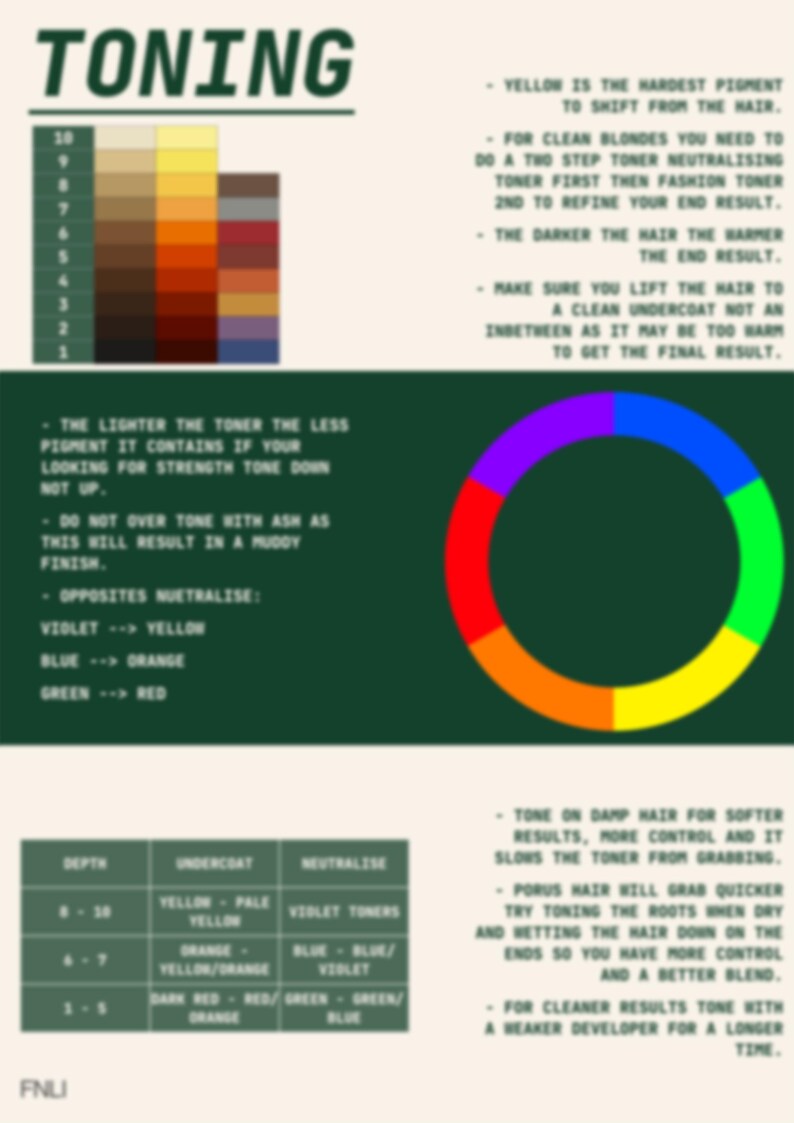 Hair Toning Cheat Sheet - Etsy