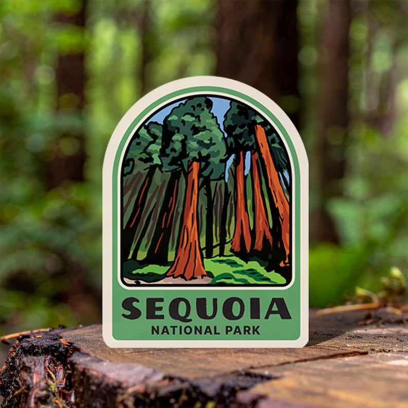 Sequoia National Park Bumper Sticker for Travel Decals for Cars ...