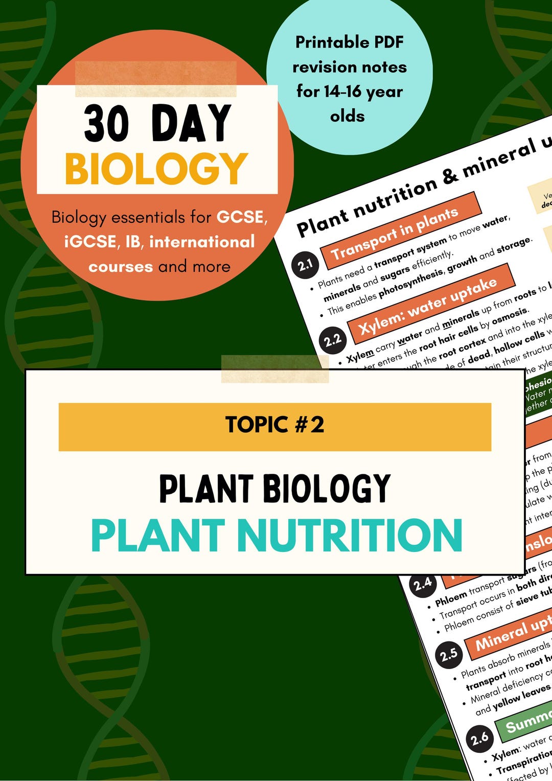 Biology Study Notes | Plant Nutrition & Mineral Uptake | GCSE, Igcse ...