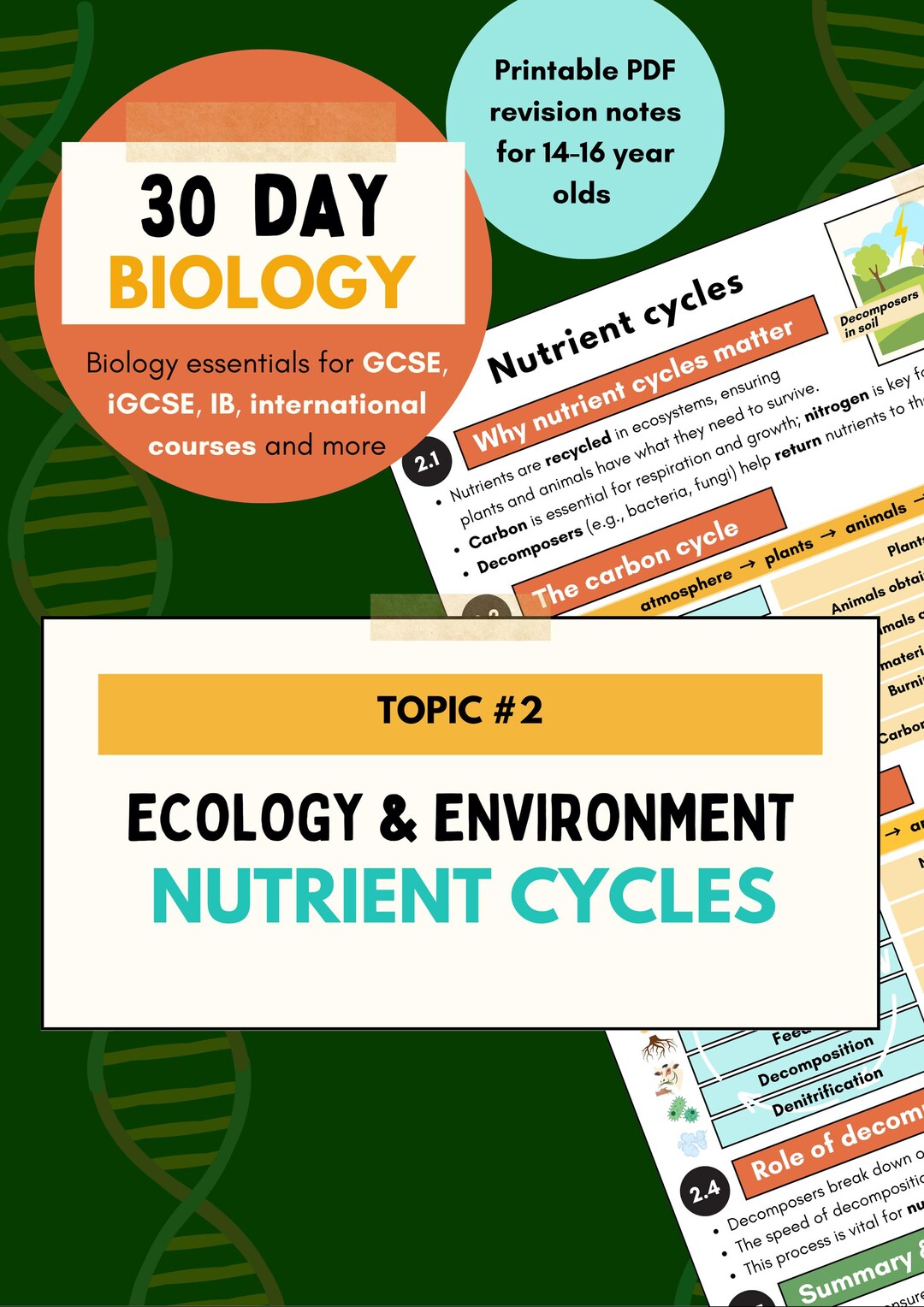 Biology Study Notes | Nutrient Cycles | GCSE, Igcse Revision (printable ...