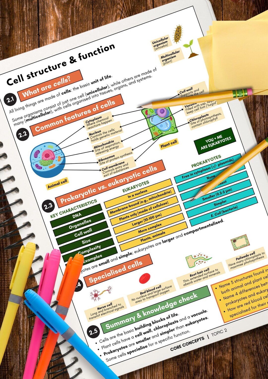 Biology Study Notes | Cell Structure and Function | GCSE, Igcse ...