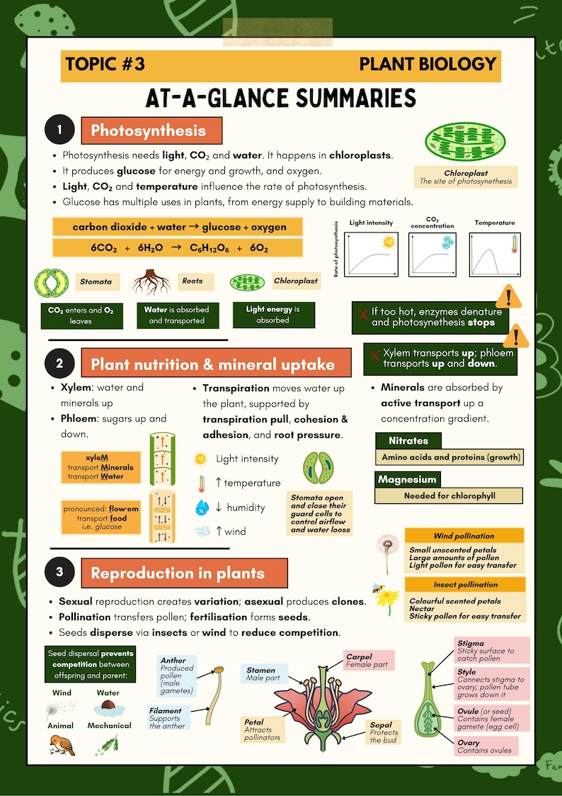 Biology Study Notes | Biotechnology & Genetic Modification | GCSE ...