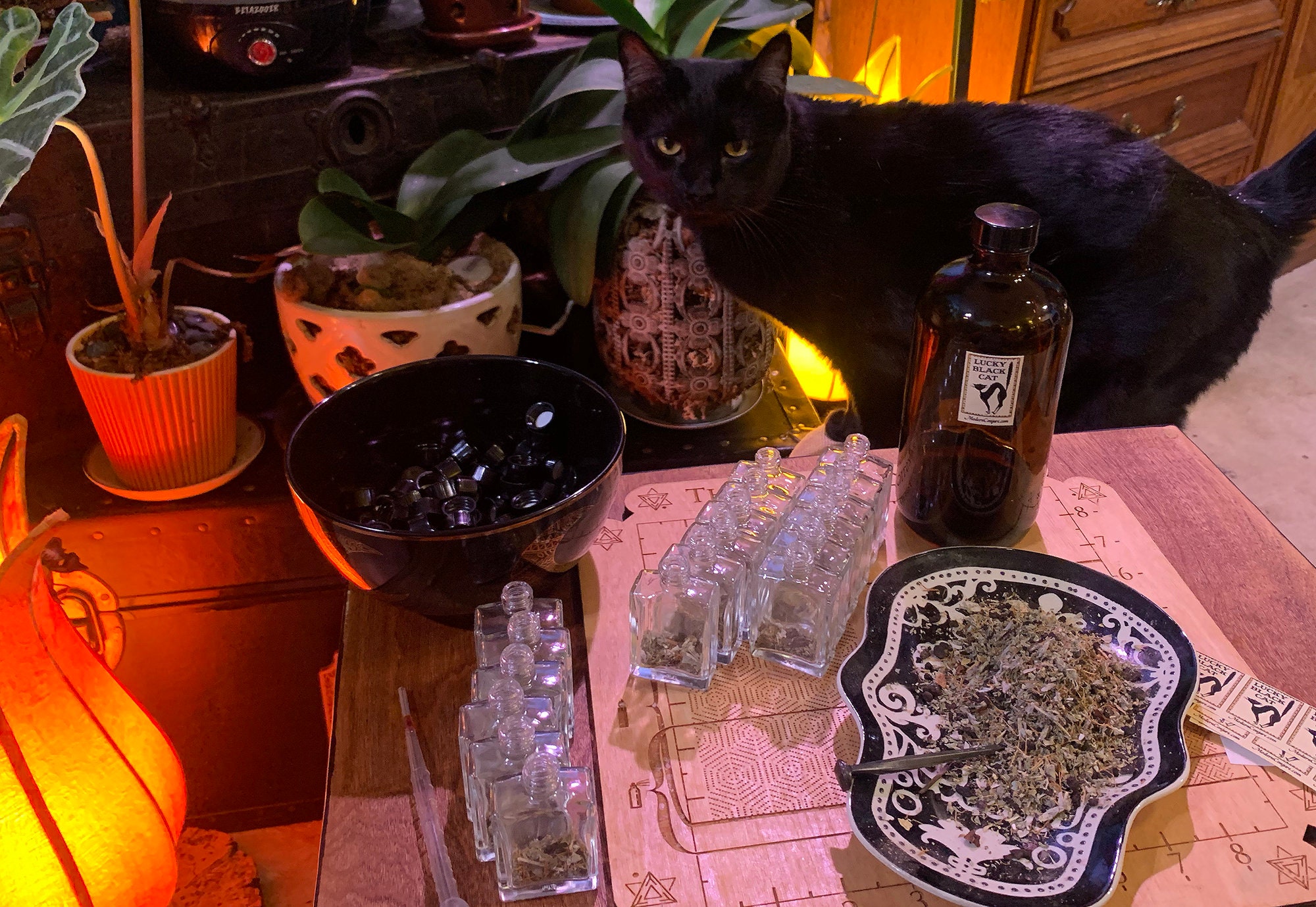 Lucky Black Cat Conjure Oil - Etsy