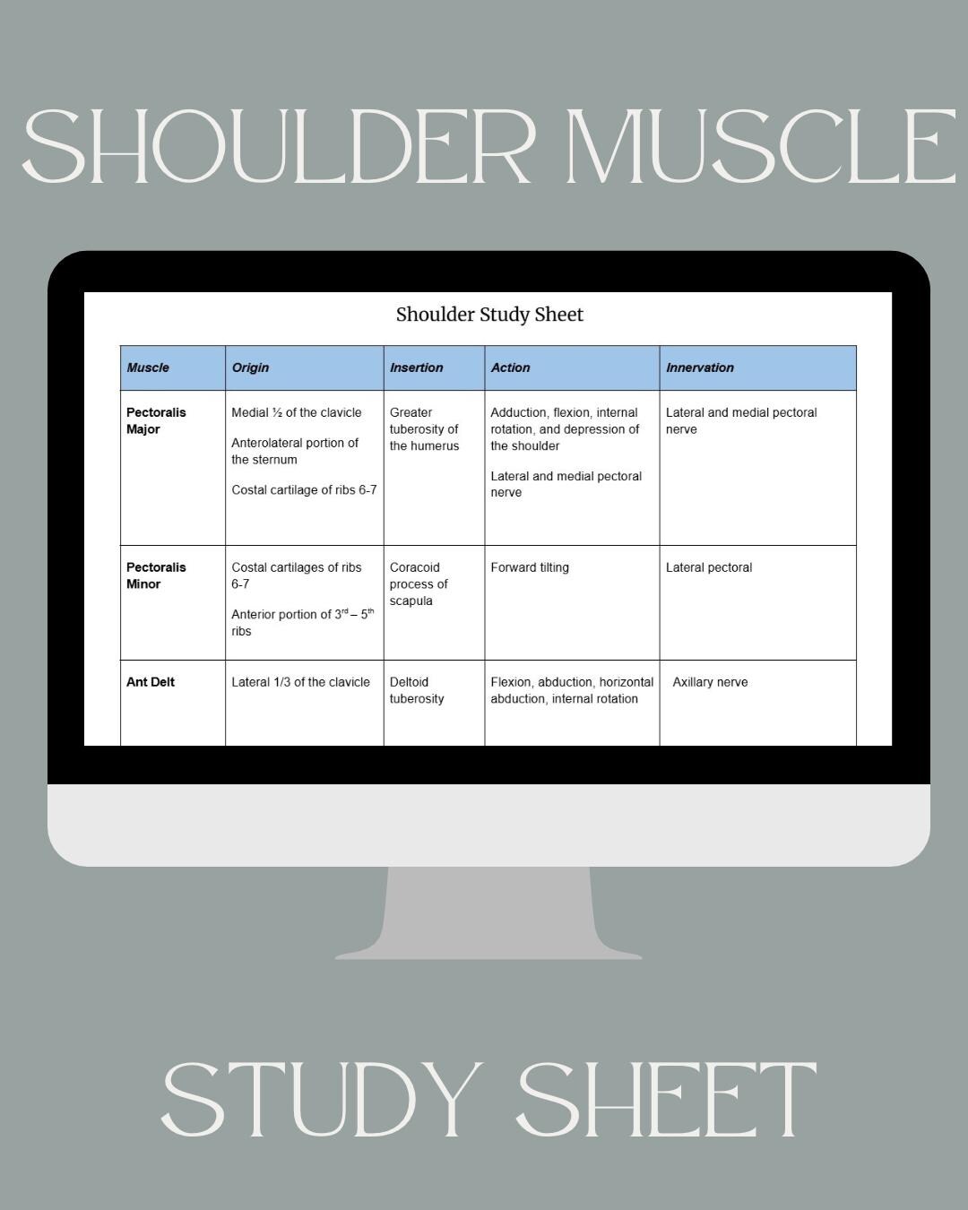 Shoulder Muscle Anatomy Cheat Sheet - Etsy